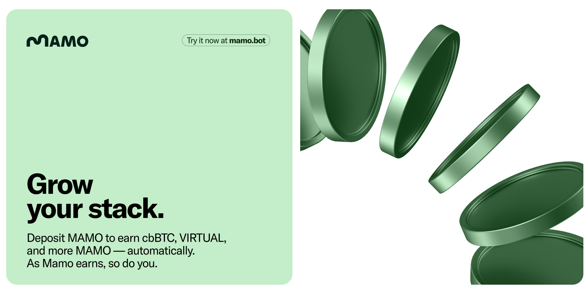 MAMO Accounts! Set it. Stack it. Compound it. — Mamo