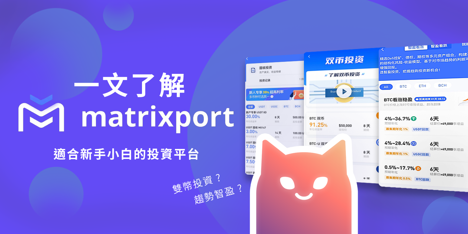 一文了解 MatrixPort 是什麼 — WalkinCat
