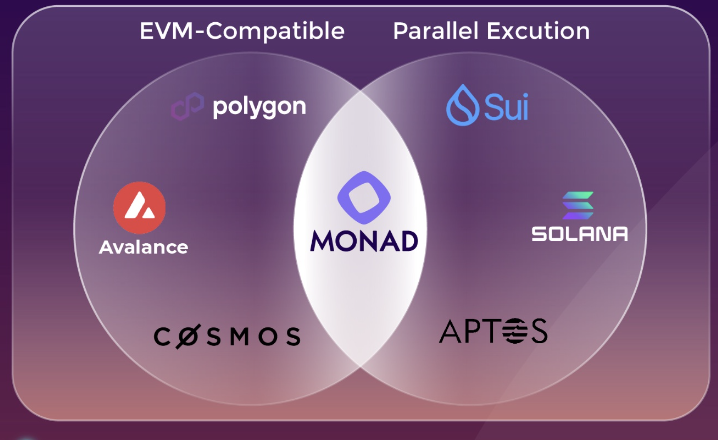 Monad Layer 1 : [ กาวกระป๋องใหญ่ ทำไมถึงน่าสนใจในปี 2024 ? ] + ว… — Thepleb