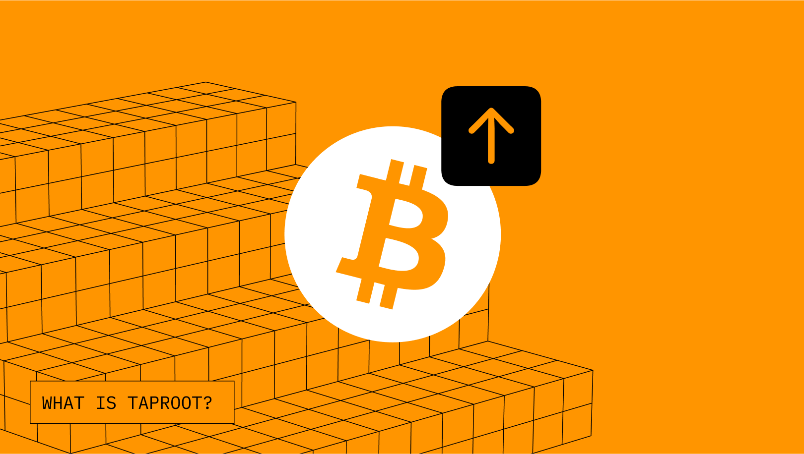 详解Taproot Consensus：最原生、最去中心化的BTC L2解决方案 — Web3CN