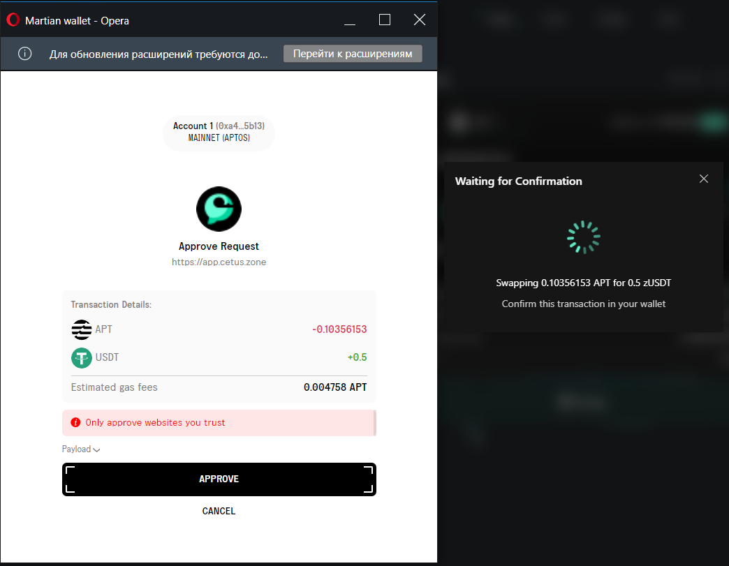 Cetus Protocol в Aptos Mainnet для ру комьюнити — tulenkaaa